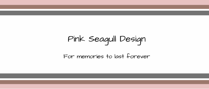Pink Seagull Design - Shadow box frames